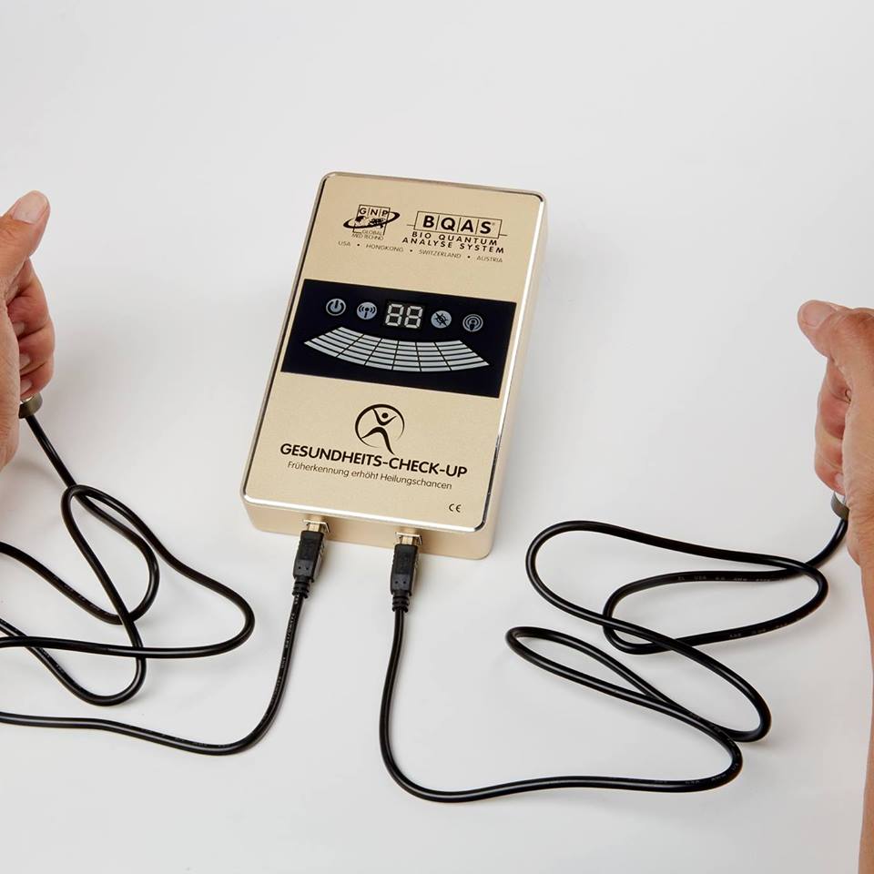 BQAS Bioquantum Analyse System (biologischer Körperscan) - Tanja Graf ...